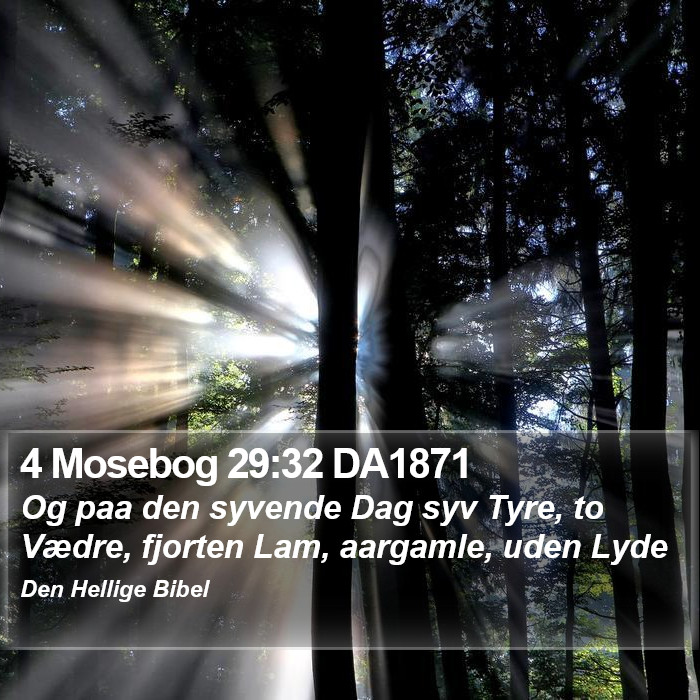 4 Mosebog 29:32 DA1871 - Og paa den syvende Dag syv Tyre, to Vædre,