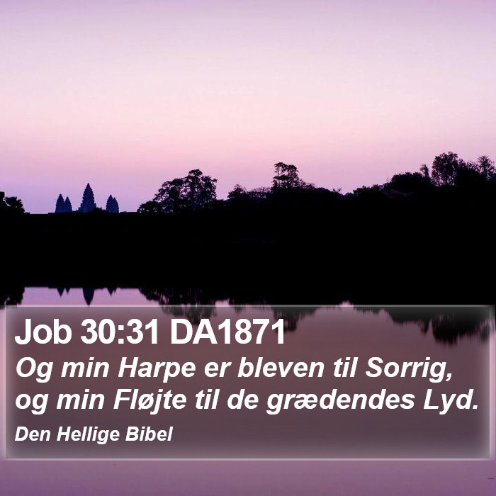 Job 30 Bible Images - Job Chapter 30 DA1871 Bible Verse Pictures