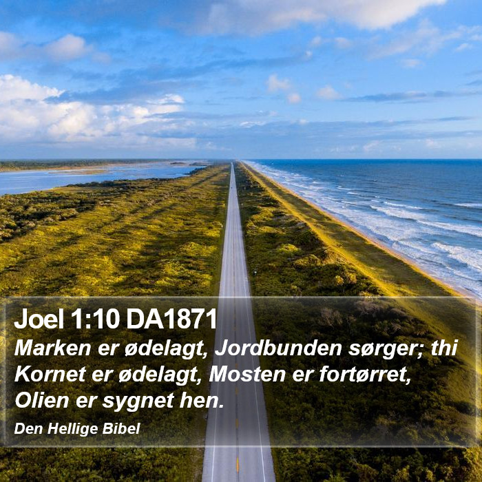 Joel 1:10 DA1871 - Marken er ødelagt, Jordbunden sørger; thi